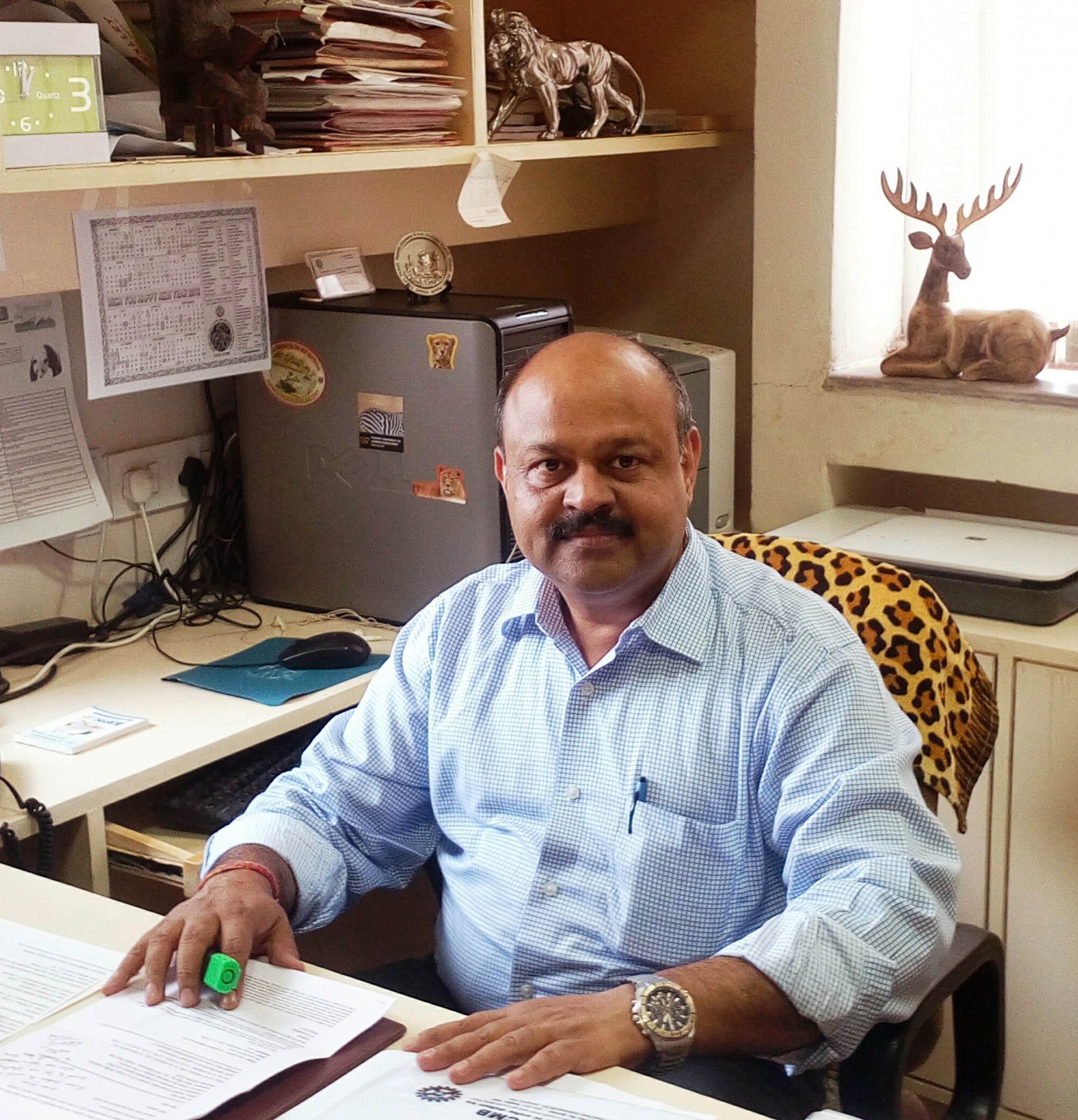 Ajay Gaur - WINStep Forward